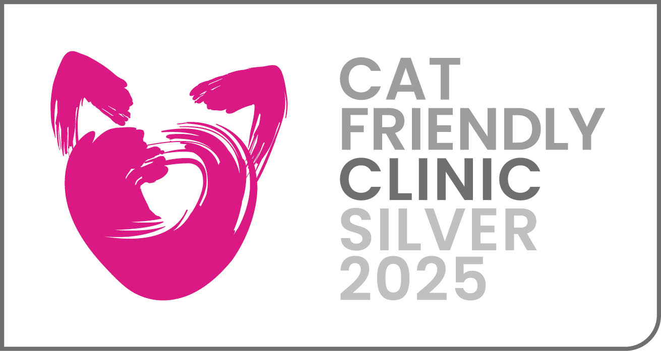 Cat Friendly Clinic - Los Madrazo
