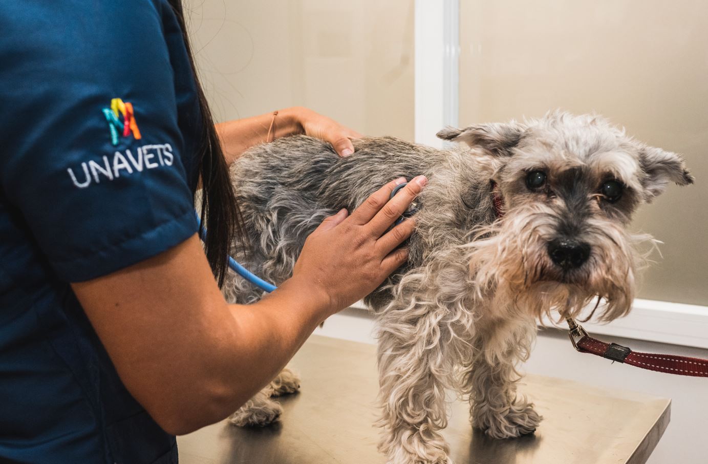 General Medicine - Tropical Manises